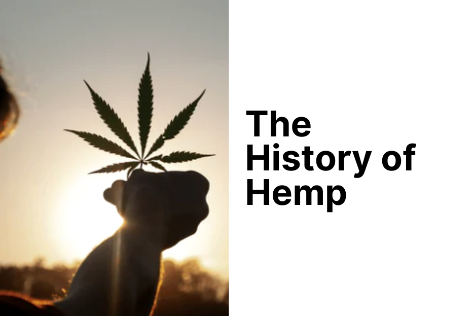 The History of Hemp – Parvati Valley Hemp Company
